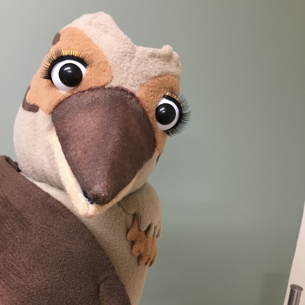 Custom Kookaburra puppet | The Puppet Workshop