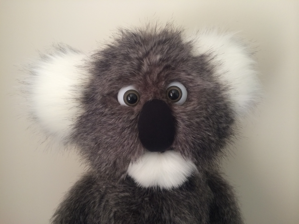 Custom Professional Koala Rod Puppet | The Puppet Workshop
