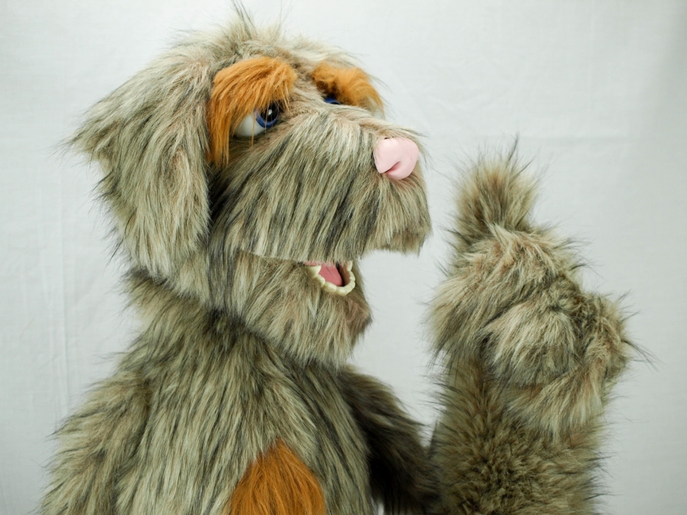 Custom Rufus Build | The Puppet Workshop